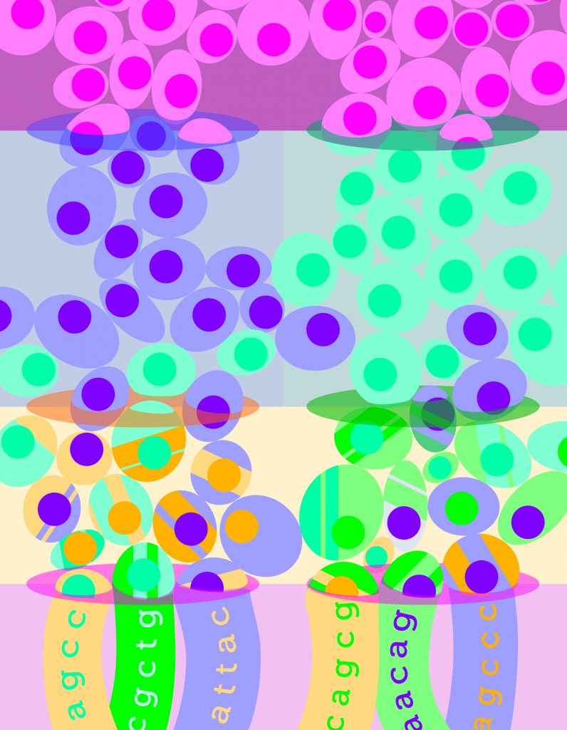 With new ‘shuffling’ trick, researchers can measure gene activity in ...